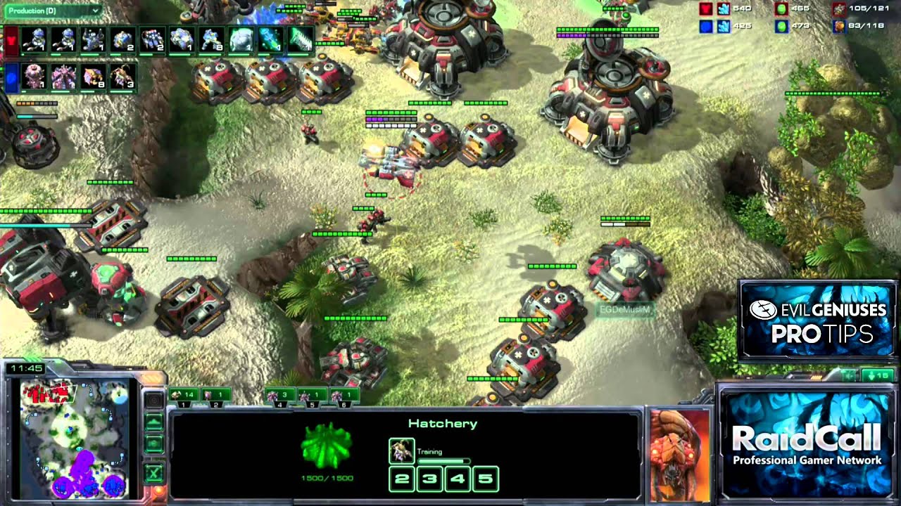 RaidCall Pro Tips: EG.DeMusliM Brings A Strong Harrassment Build In TvZ ...