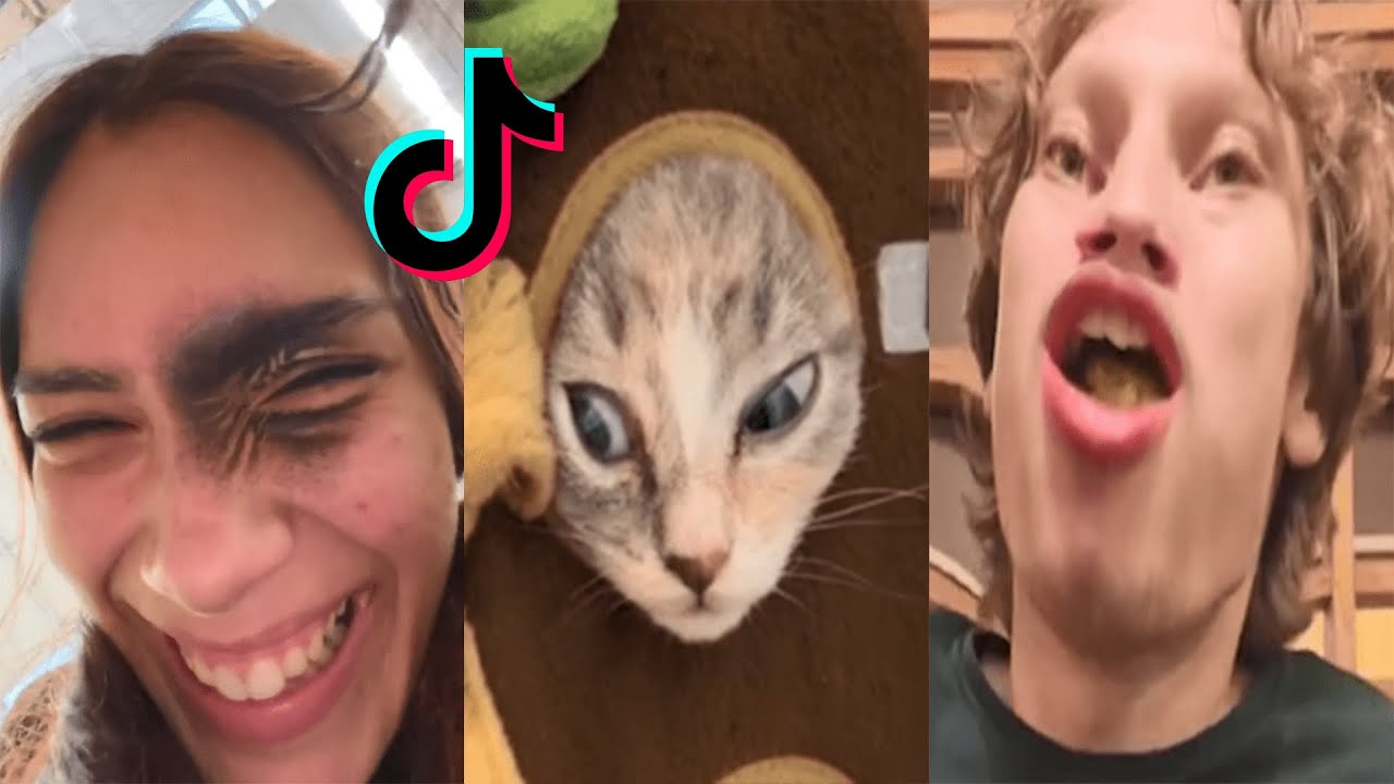 TikToks That Are Actually Funny - YouTube