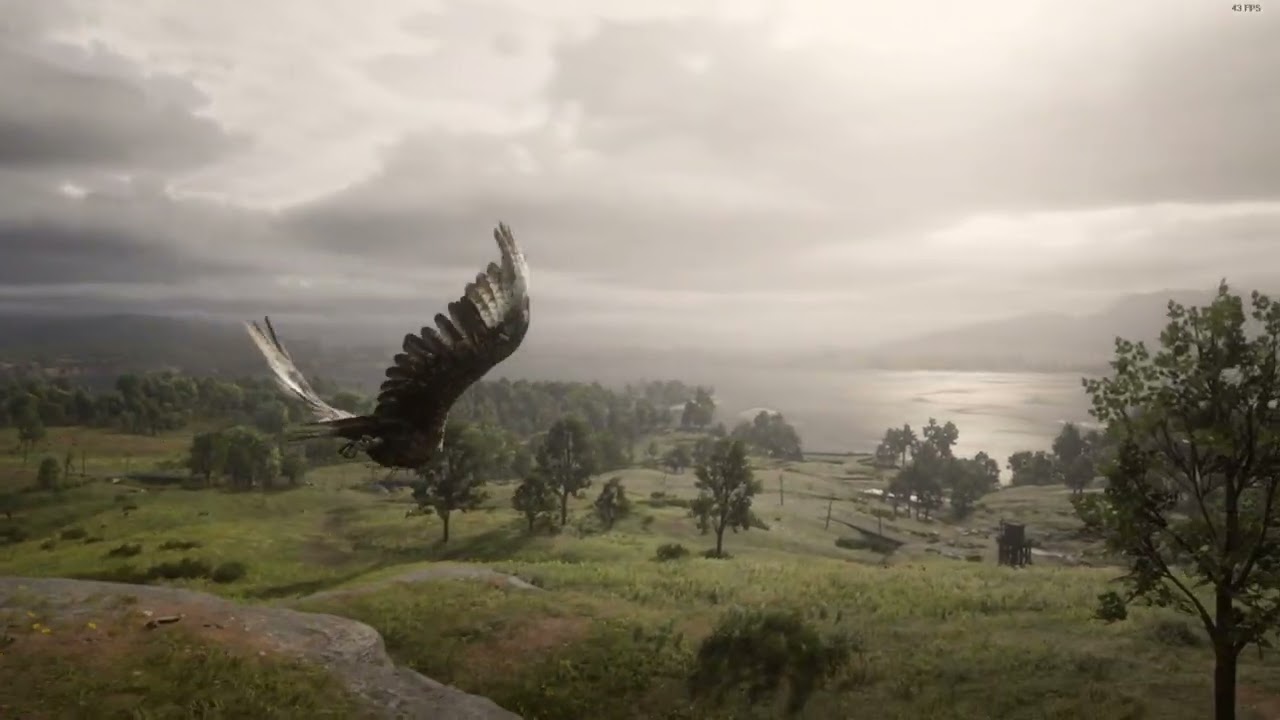 Fly with a Eagle in Lemoyne - RDR2 - YouTube