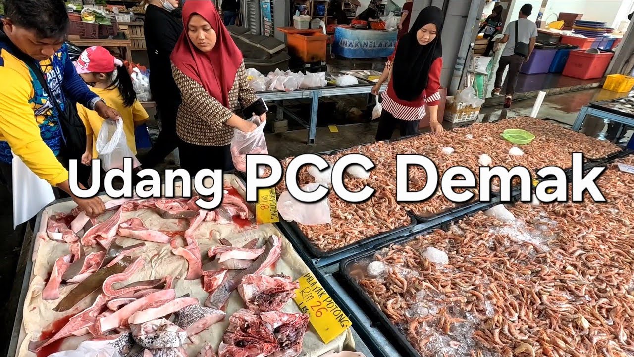 Kuching PASAR PCC DEMAK banyaknya udang🦐🦐Harga pun cun gais👏Bumi ...