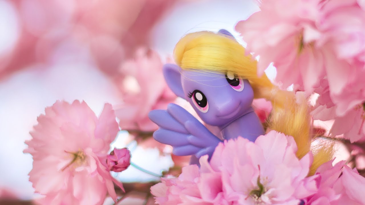 PRO Pony Photos! My Little Pony Behind the Scenes Photography | MLP ...