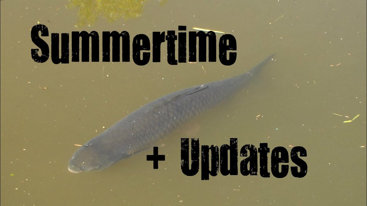 HLpredatorTEAM - Summertime Fish Spotting + Updates - YouTube