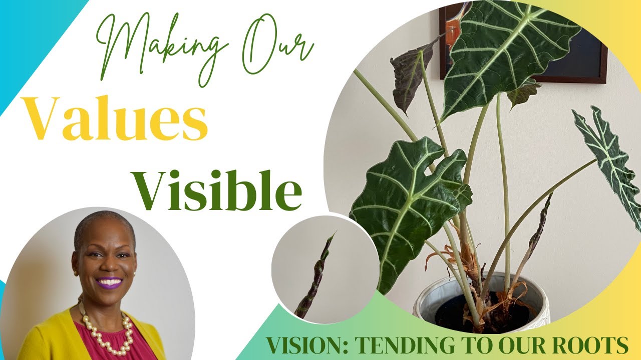 Tending To Our ROOTS - YouTube