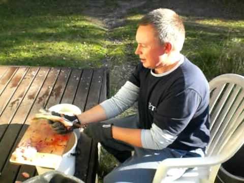 Perch preparation for smoking - YouTube