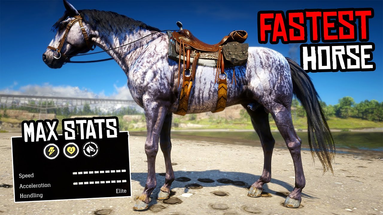 6 Fastest Horses with the Highest Stats - Red Dead Redemption 2 Best ...