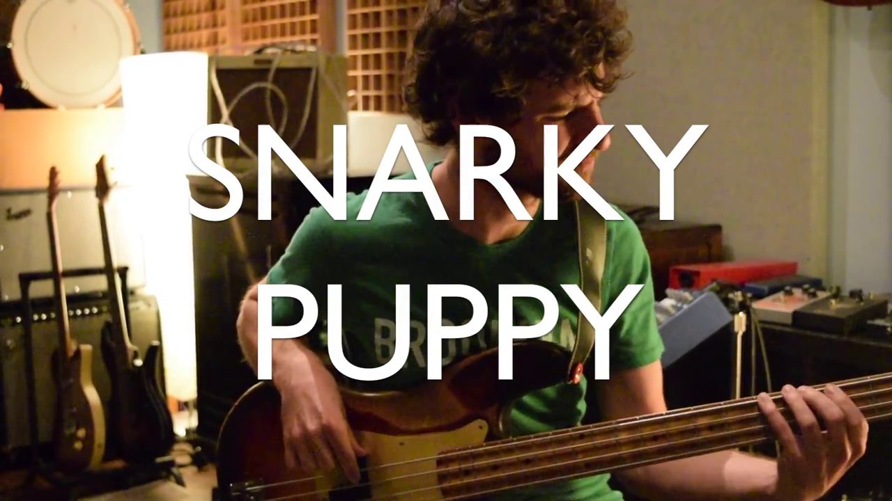 Snarky Puppy Interview(Quick Take) - YouTube