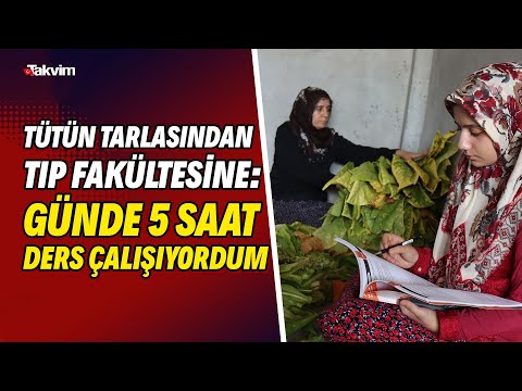Tarlada çalışıp sınava hazırlanan Hatice, tıp fakültesini kazandı: Günde 5 saat ders çalışıyordum