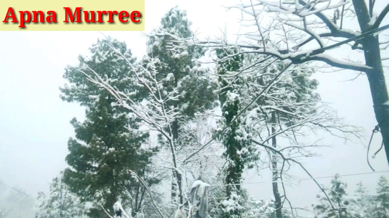Murree snowfall 2020 - YouTube