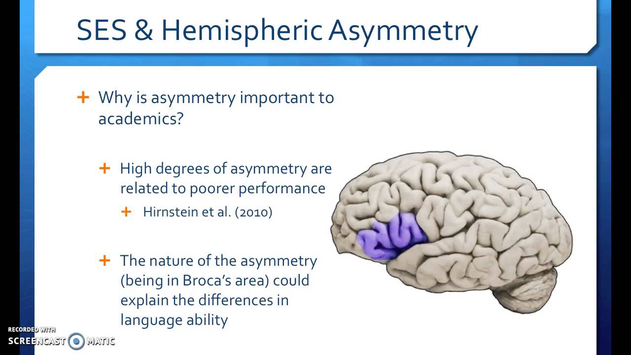 SES, Performance & The Brain - YouTube