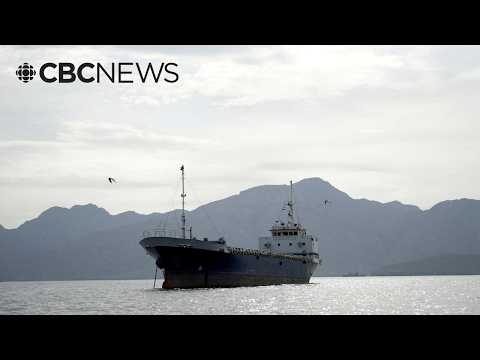 Strait of Hormuz open during U.S.-Iran ceasefire, Trump and Iran's foreign minister say