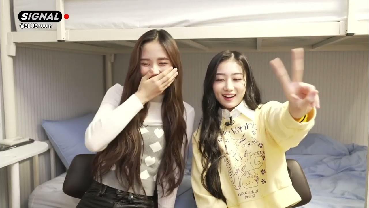 카에데 라이브 하겠습니다 | tripleS 트리플에스 : SIGNAL LIVE 221116 - YouTube