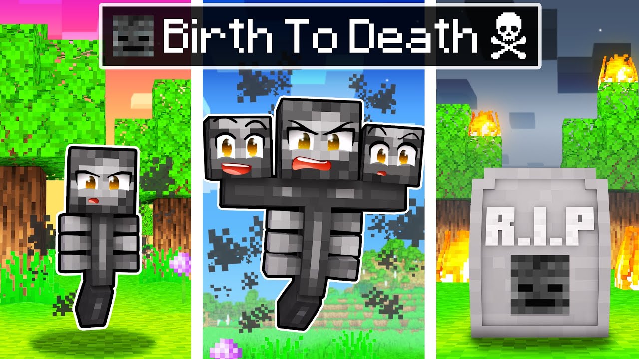BIRTH to DEATH of a WITHER in Minecraft! - YouTube