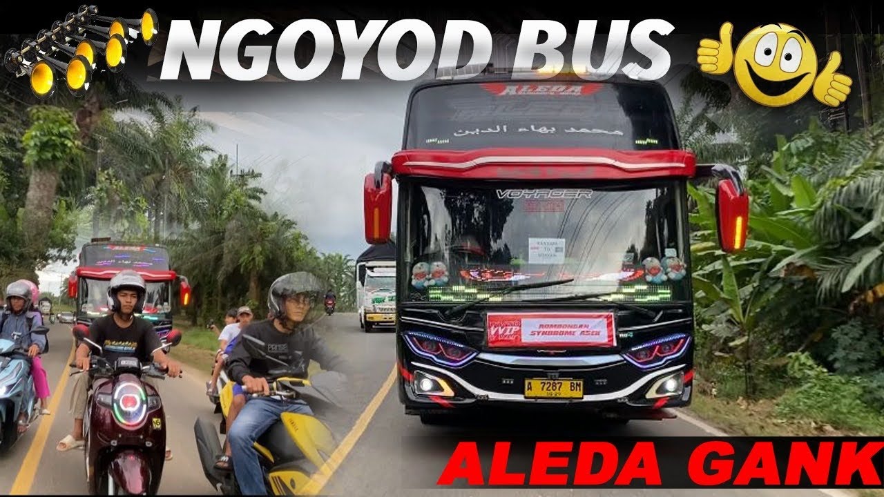 Ngoyod bus RR Trans (ALEDA) dengan nada viralnya 🤪 - YouTube
