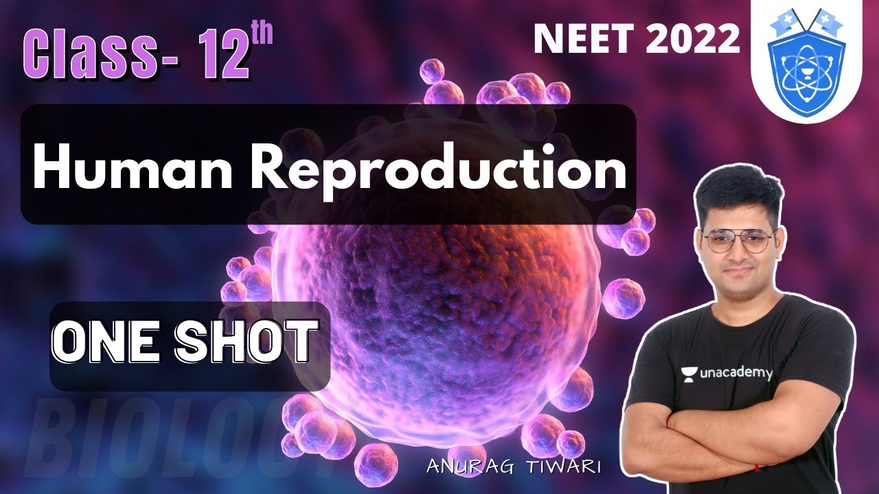Human Reproduction | One Shot | Class 12 | NEET Biology | Anurag Tiwari ...