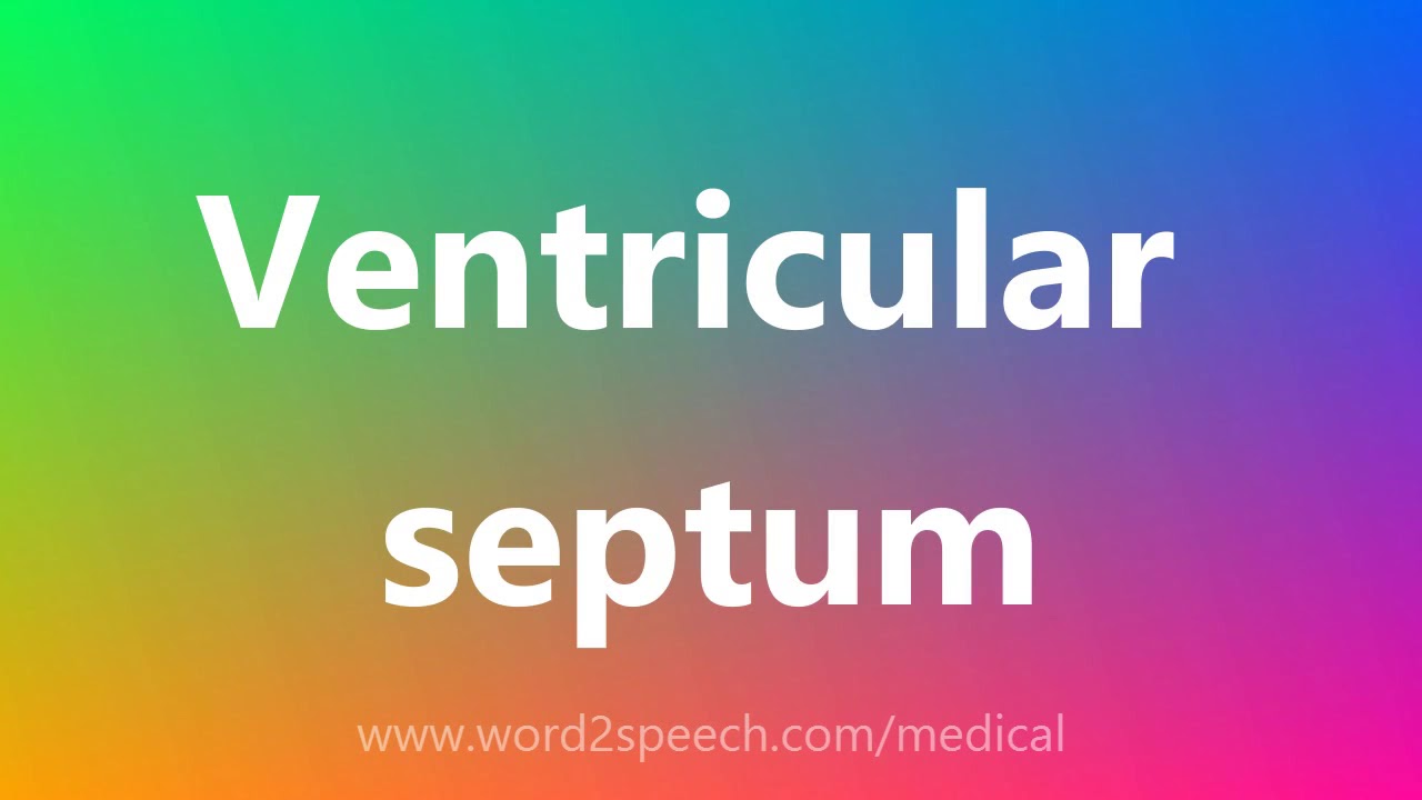 Ventricular septum - Medical Definition and Pronunciation - YouTube