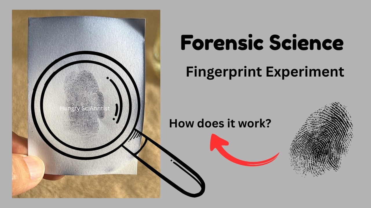 Forensic Science: Fingerprints on a Paper | Experiment | How does it ...