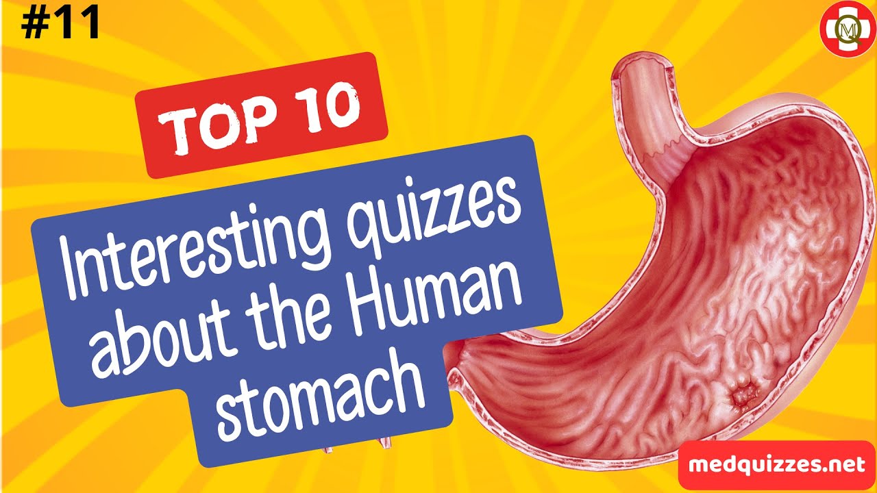 #11. Can You Pass These Tricky Quizzes about the Human Stomach? - YouTube