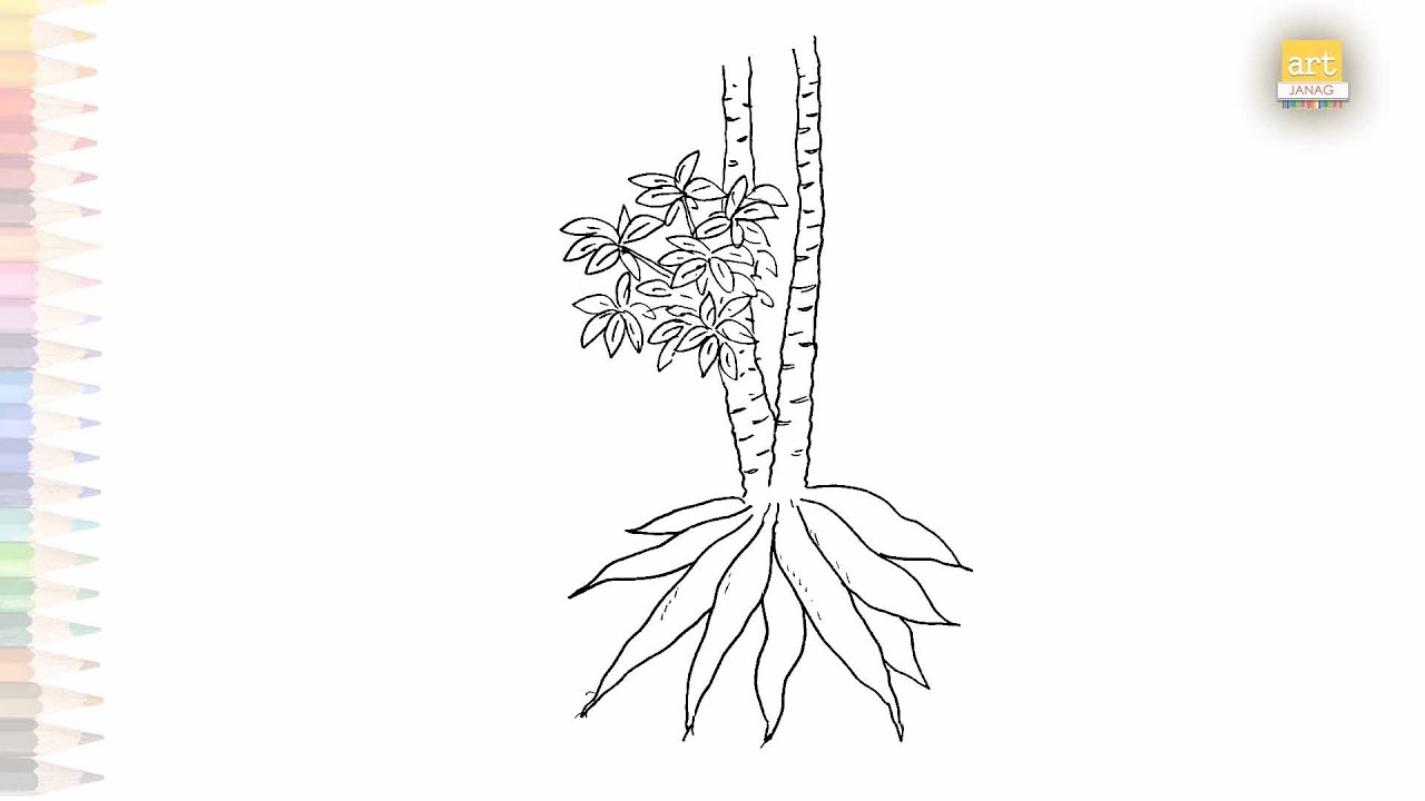 Elephant cassava drawing easy | Art tutorial | How to draw cassava step ...