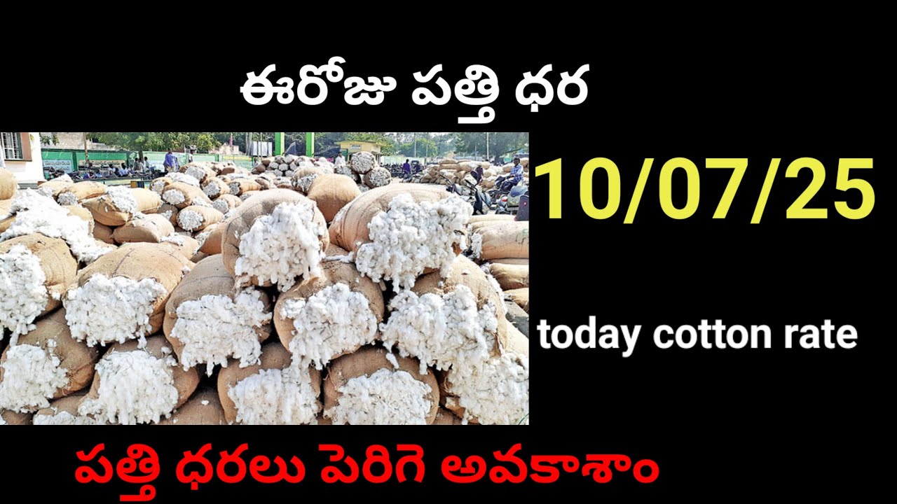 పత్తి ధరలు 10-07-2025 today cotton price/today cotton rate/cotton price ...