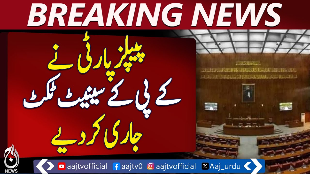 PPP Issues Senate Tickets to Talha Mahmood, Rubina Khalid - Breaking ...
