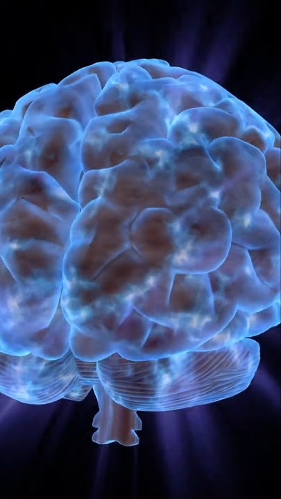 Neuroscience for Goal-Setting: Tiny Habits 2.0 - YouTube