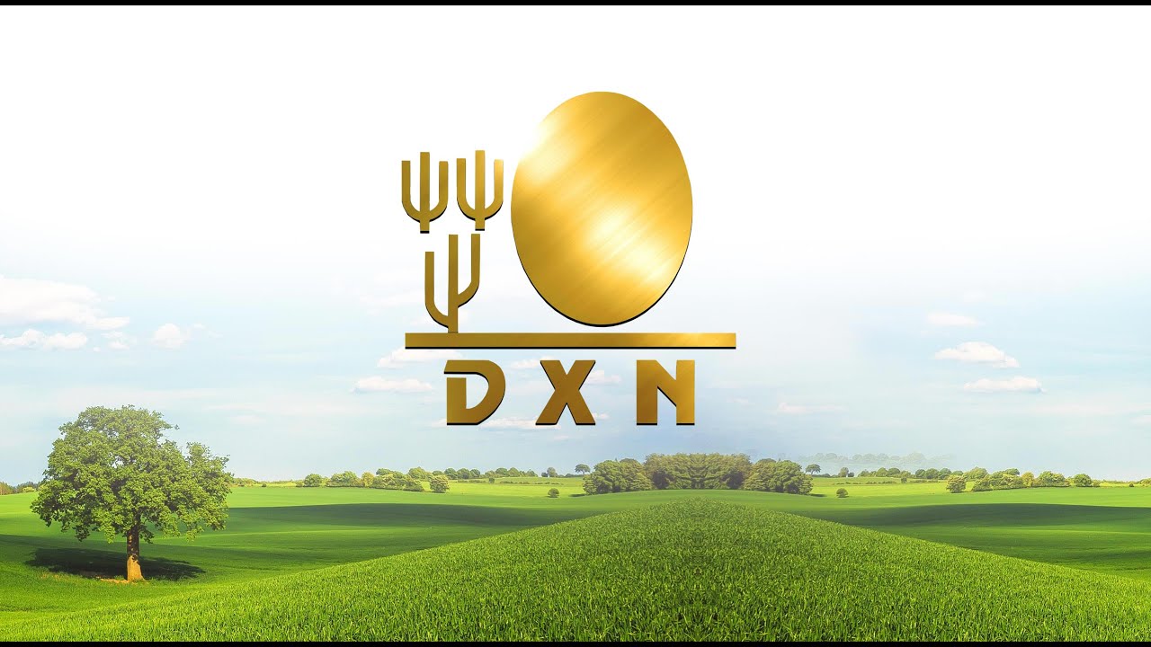 PRESENTACIÓN CORPORATIVA COMPAÑIA DXN - YouTube