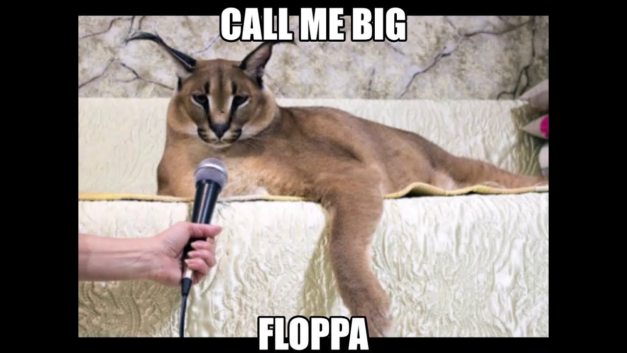 A Ride With Floppa Feat. Connor - YouTube