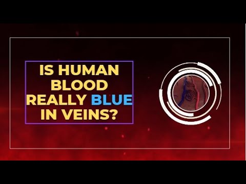 Is human blood blue in veins? - YouTube