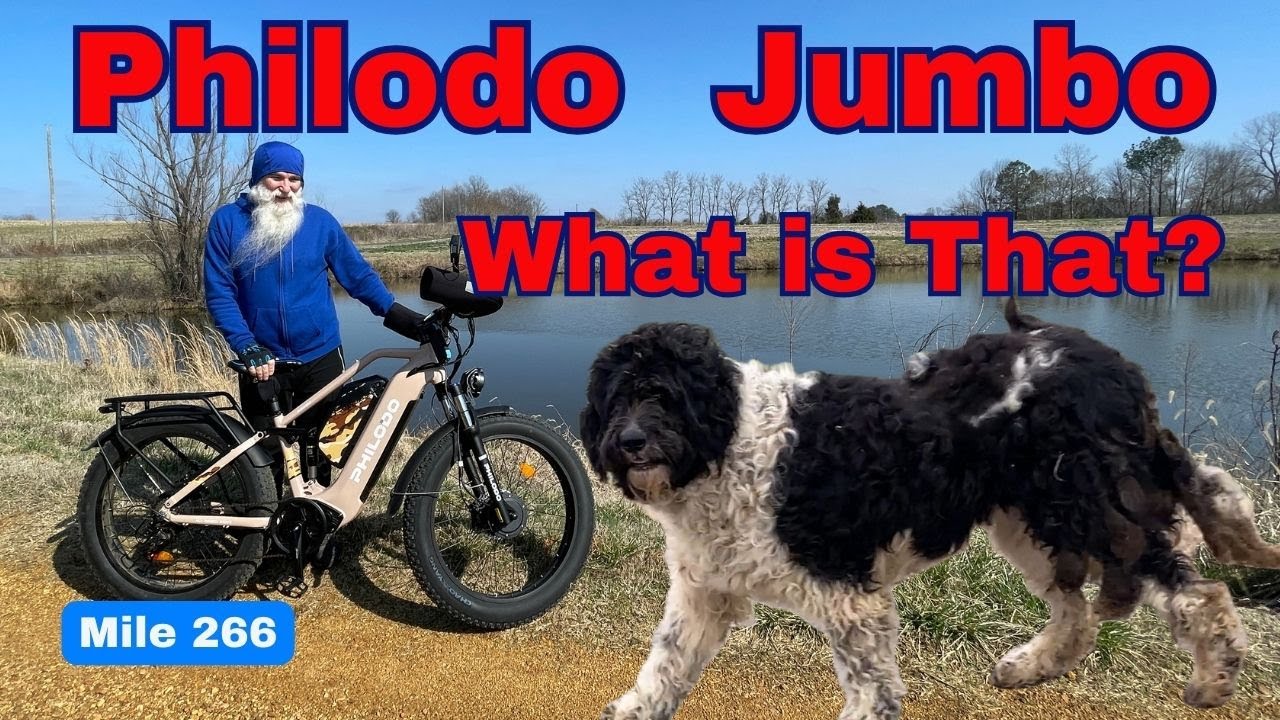 What In The World Is That?: Philodo Jumbo AWD Dual Battery Ebike ...