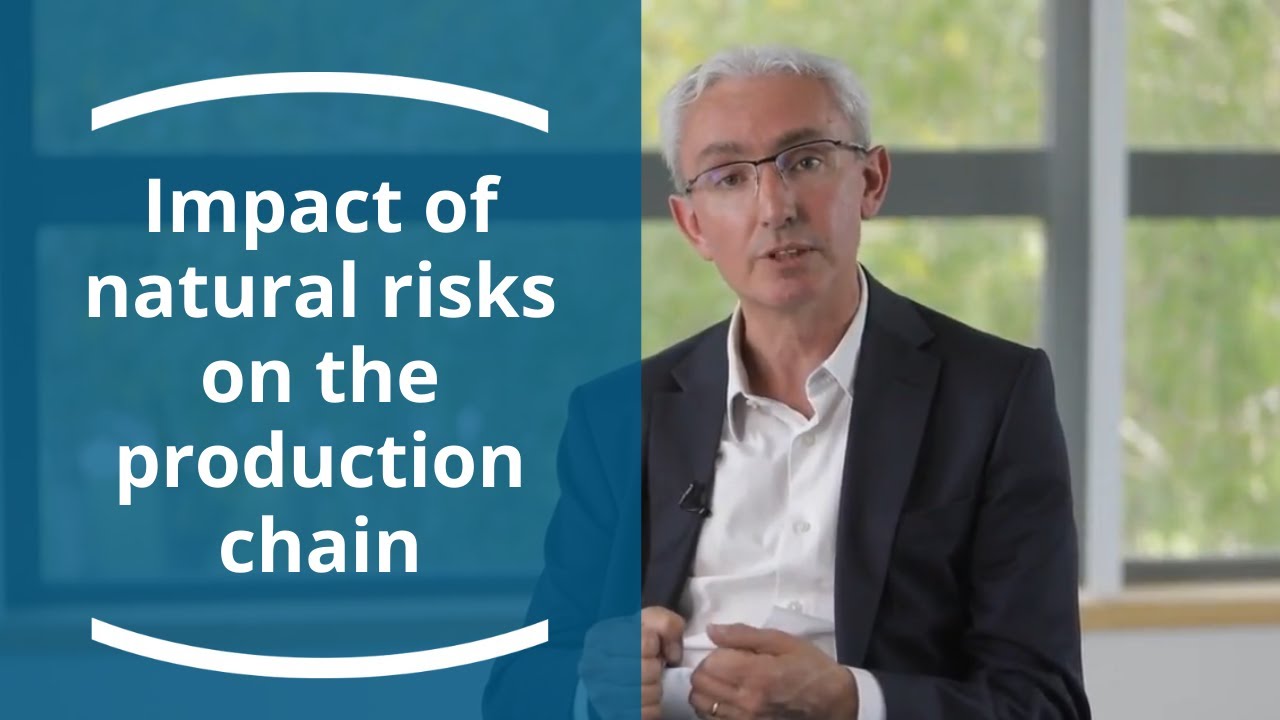 Impact of natural risks on the production chain - YouTube