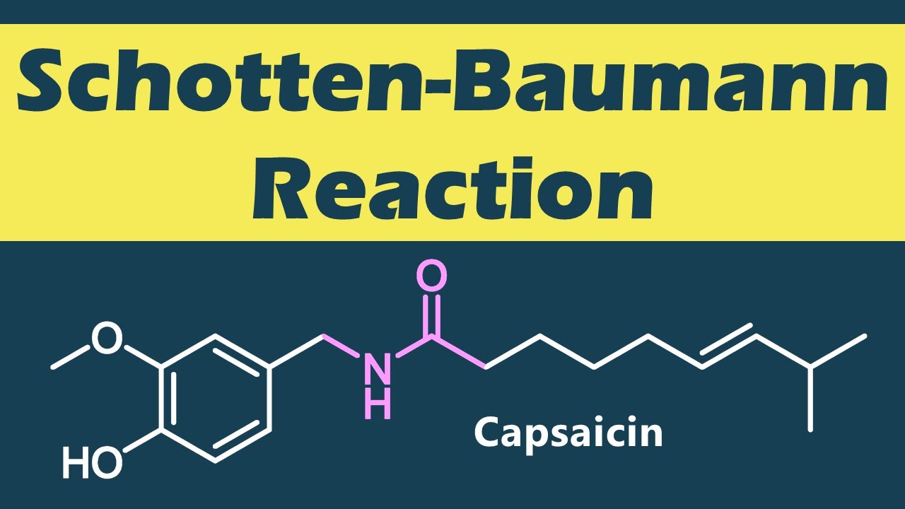 ショッテン・バウマン反応(Schotten-Baumann Reactionの反応機構【カプサイシンの合成】 - YouTube