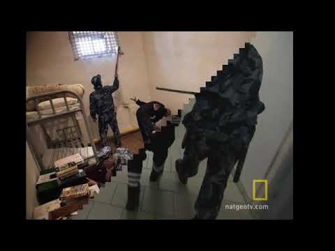 Qara delfin hebsxanasi