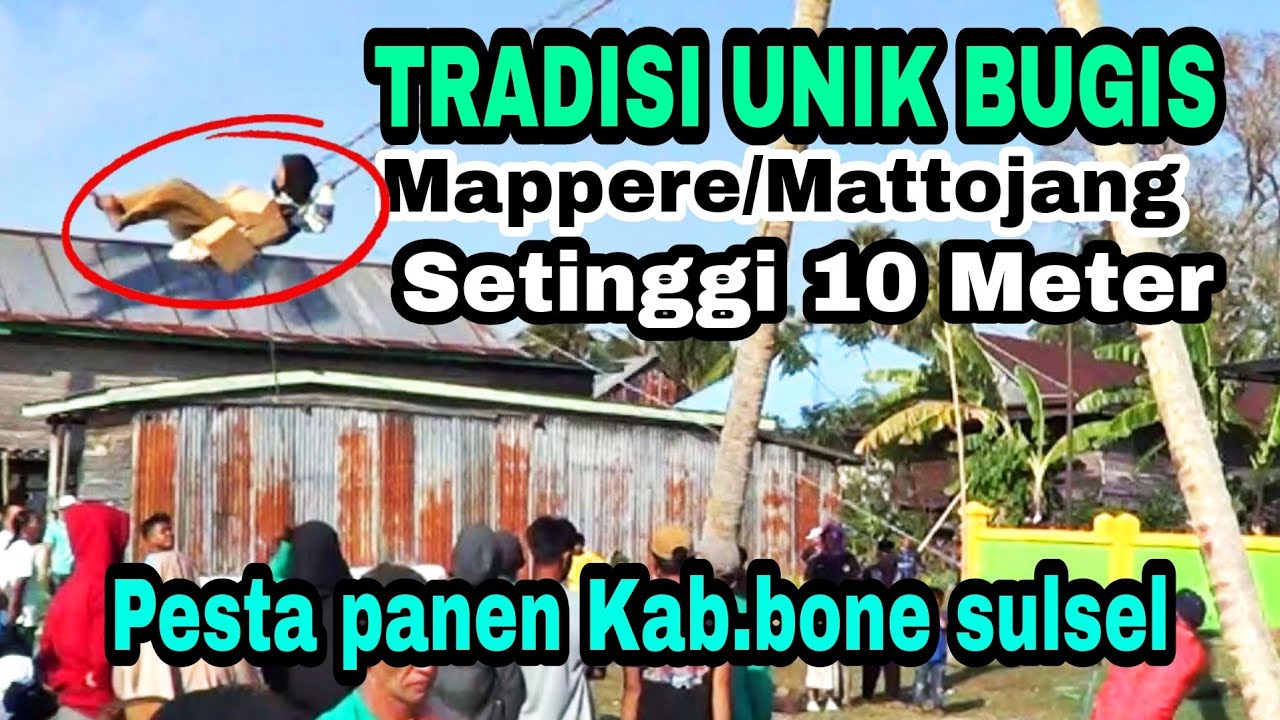 Mapperee raksasa tradisi bugis bone sulawesi selatan di pesta panen ...