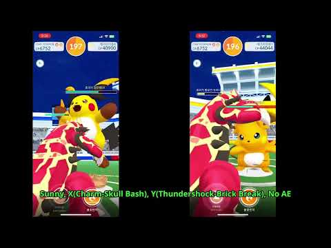 메가 라이츄 X(Mega Raichu X), 메가 라이츄 Y(Mega Raichu Y) 1계정(Solo) (맑음(Sunny))