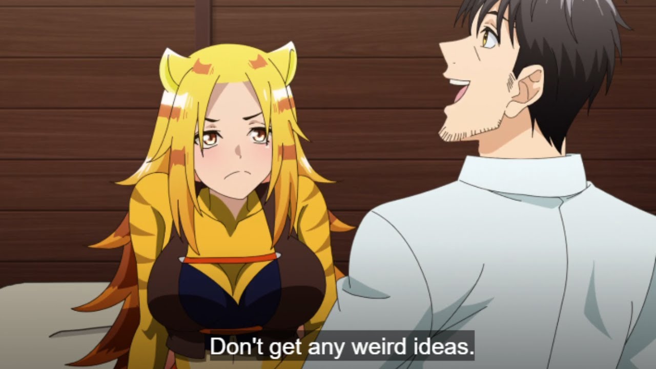 Promiscuous cat lady The Daily Life of a Middle-Aged Online Shopper in ...