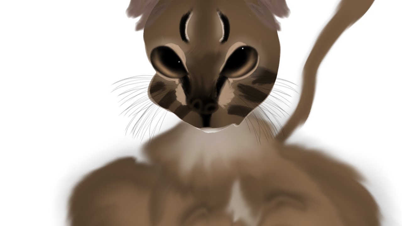 how to make raise a floppa but cursed - YouTube