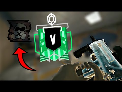 Mute Is S-Tier Opp | R6 Montage Lofi Music Background - YouTube