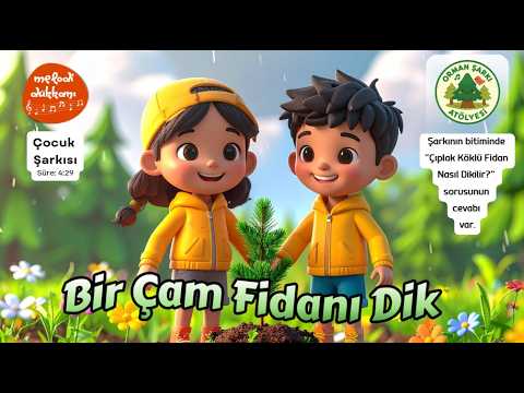 Bir Çam Fidanı Dik - Söz Müzik: Melodi Dükkanı
