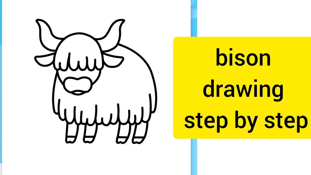 how to draw a bison step by step | easy drawings for kids | animal ...