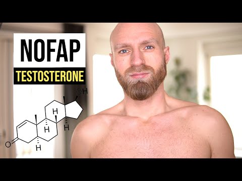 Does NoFap increase Testosterone? (the Science)