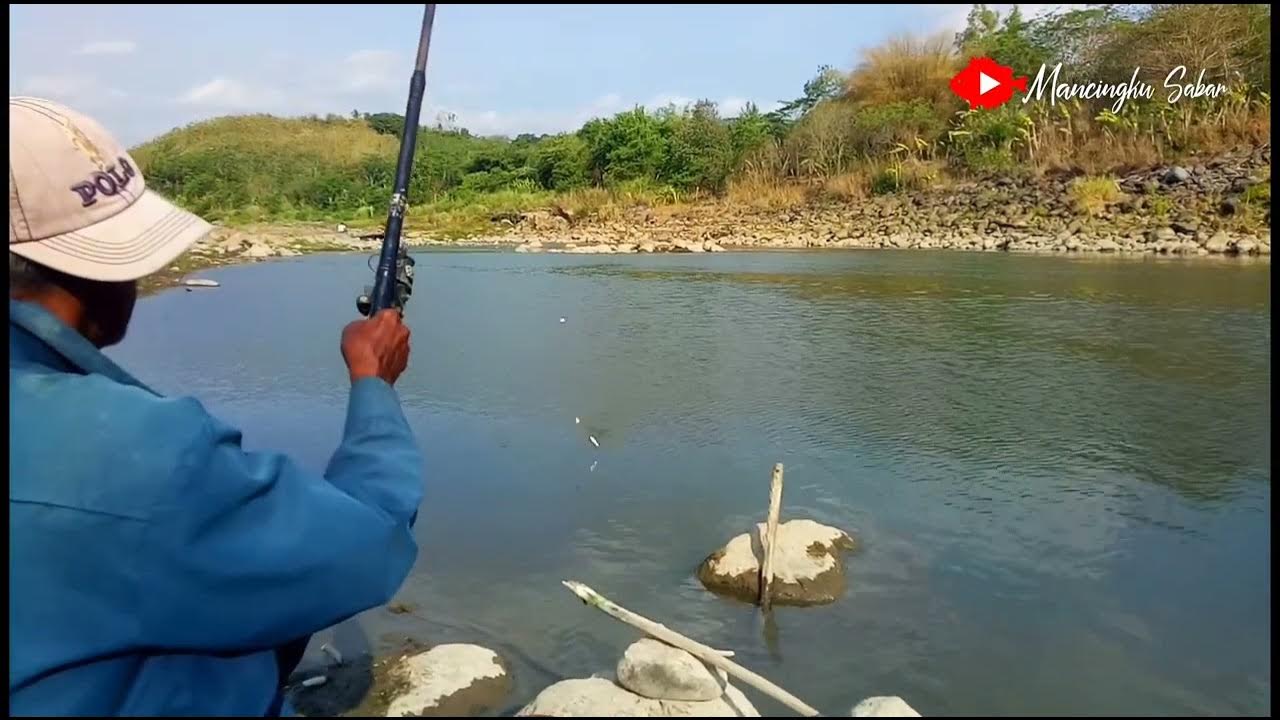 PEMULA WAJIB TAHU cara mancing ikan wader,bader,balar,kepek paling mudah #MS-403 - YouTube