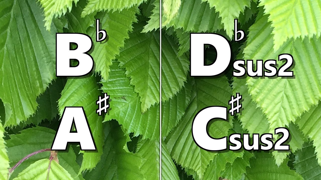 Bb (A#) to Dbsus2 (C#sus2) Backing Track - YouTube