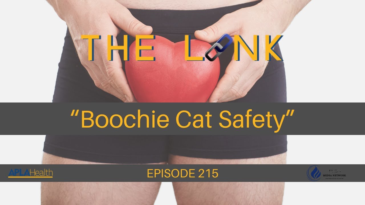 The Link LIVE!: “Boochie Cat Safety” - YouTube