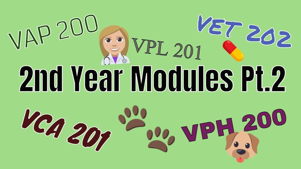 Second Year Modules Pt.2 //Vet Student In South Africa - YouTube