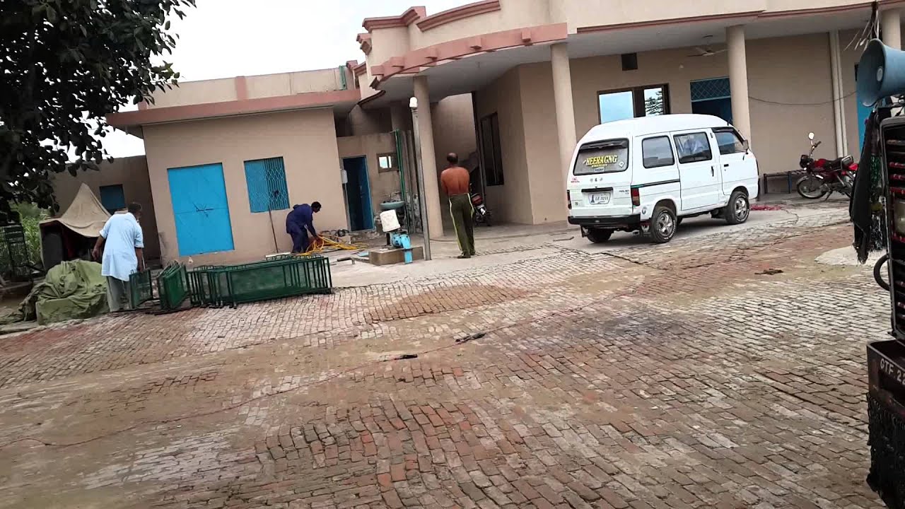 tractor Bidder marjan - YouTube