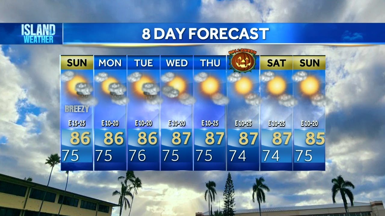 Sunday Weather Forecast | Gusty winds continue through end of the ...