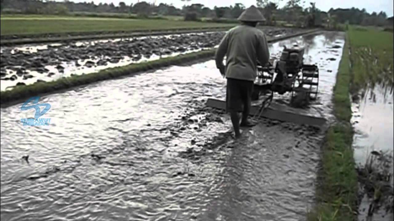 Plowing Field with QUICK 2 wheel hand Tractor LIKE a BOSS!! - YouTube