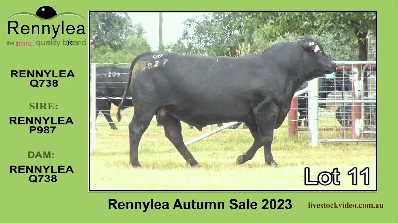 Lot 11 Rennylea March 2023 - YouTube