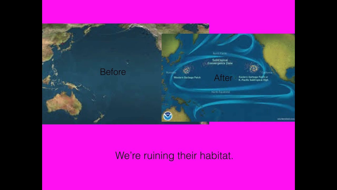 This is what happens GPGP - YouTube