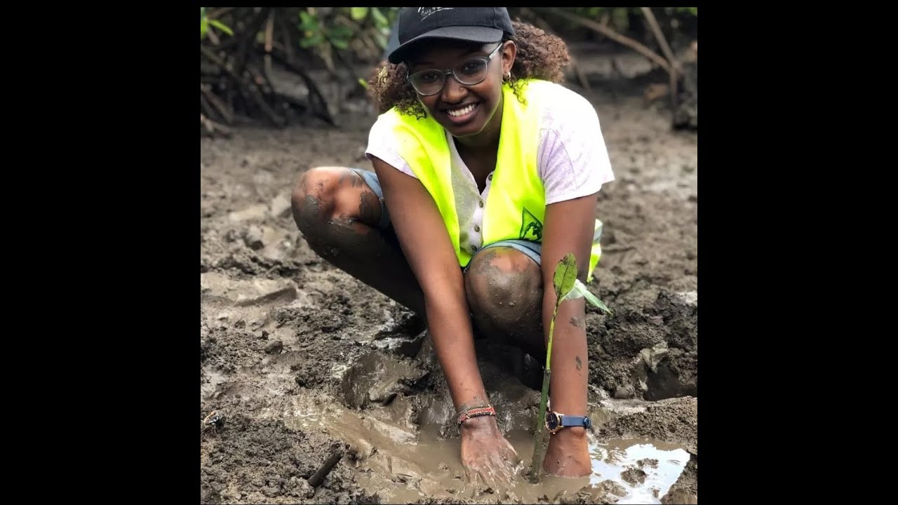 Blue Earth Organization's Joy Koech tells us why mangroves matter ...